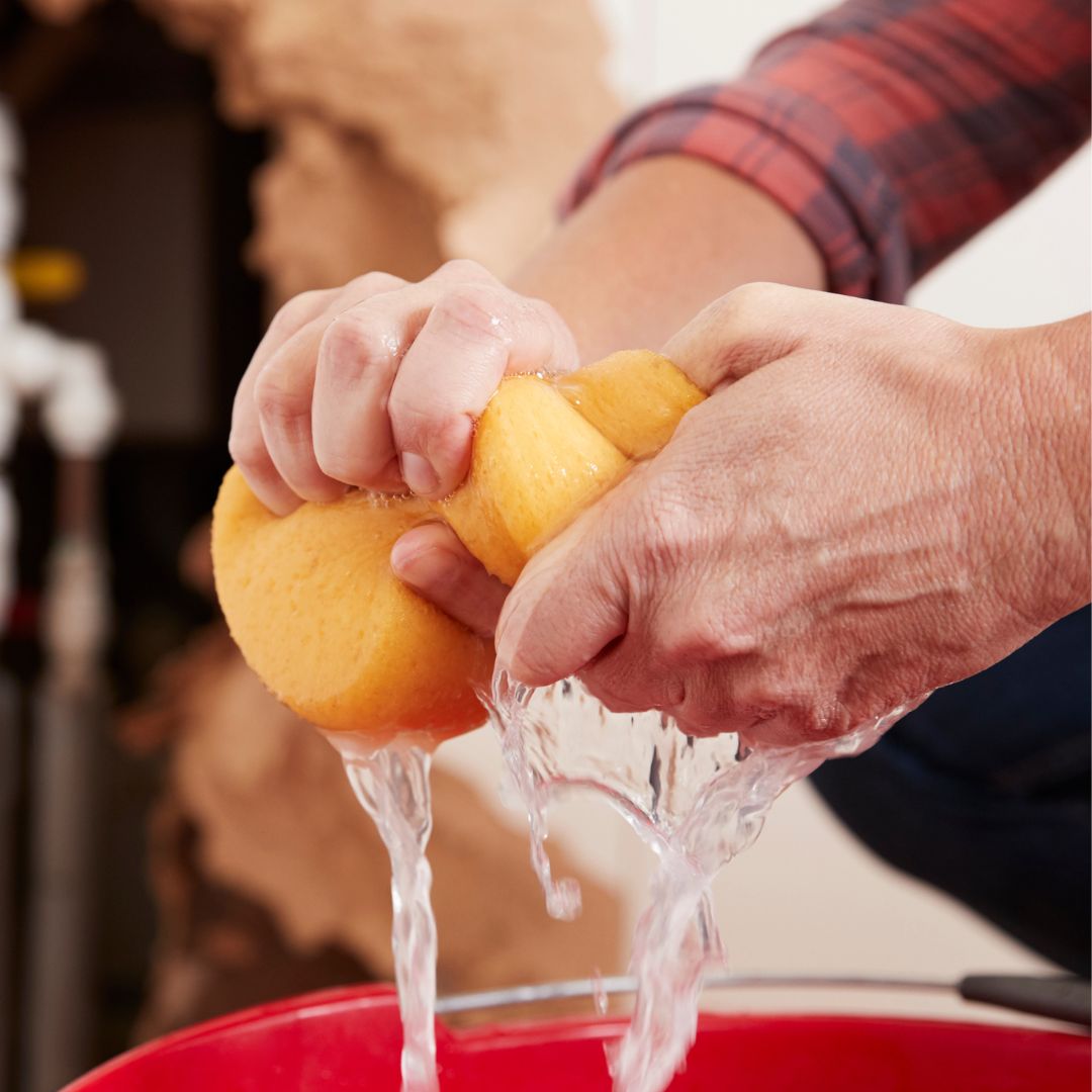 Exercise and Metabolic Dysfunction: Sprint Intervals for PCOS ...